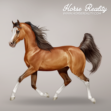 Sabino Horse Color