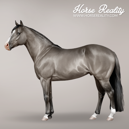 White Patterns | Horse Reality Wiki