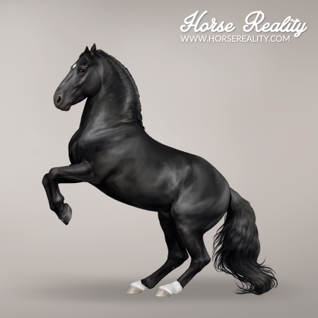 W20 | Horse Reality Wiki